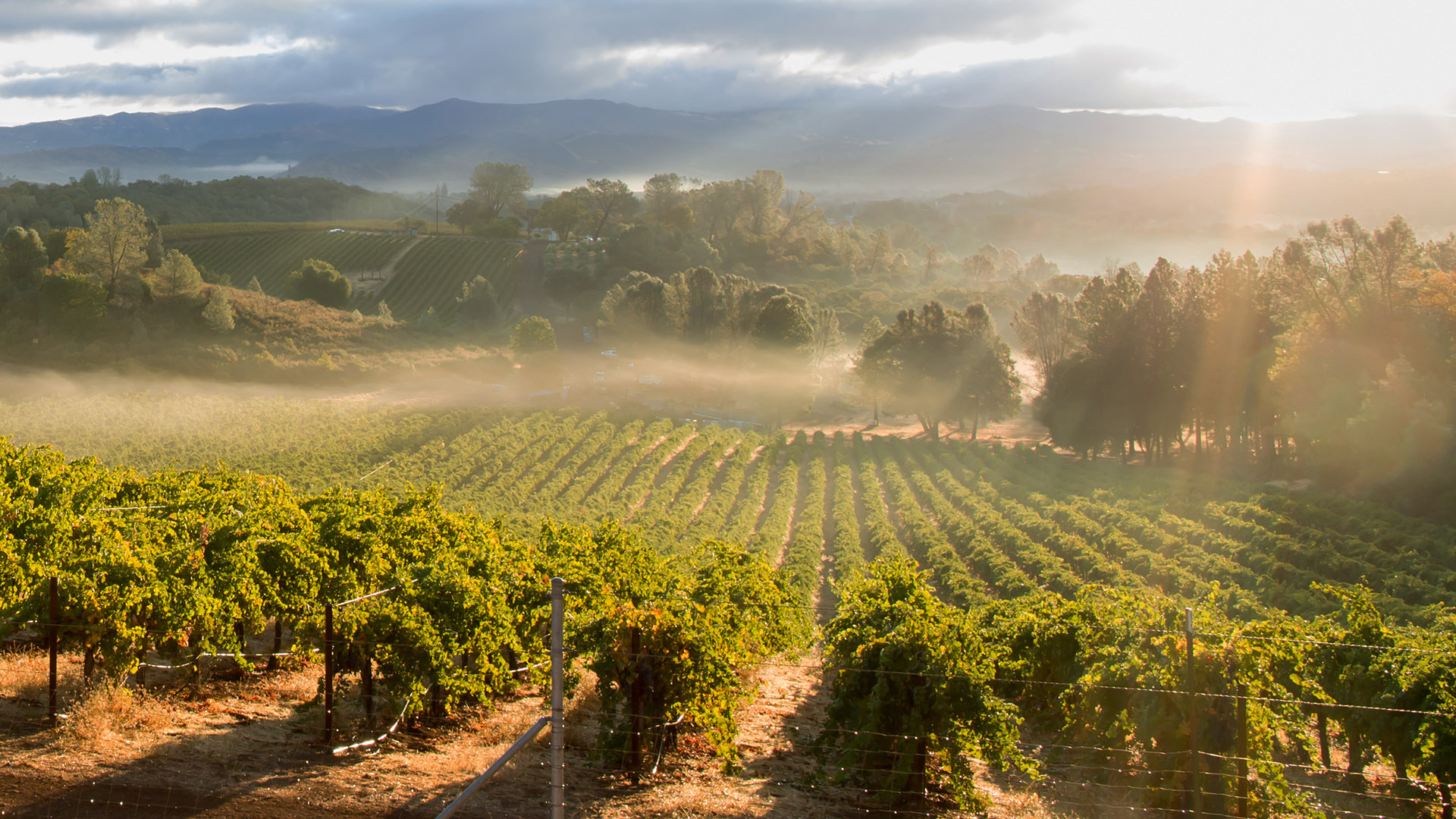Reducing Blackouts and Brownouts in California with Pumped Hydro ...