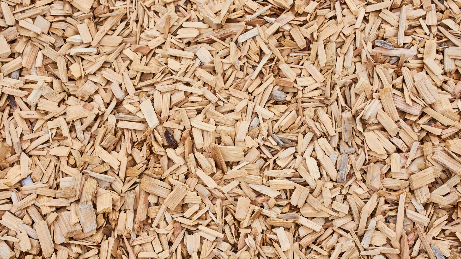 Power Generation for the Pulp and Paper Industry | GE Vernova