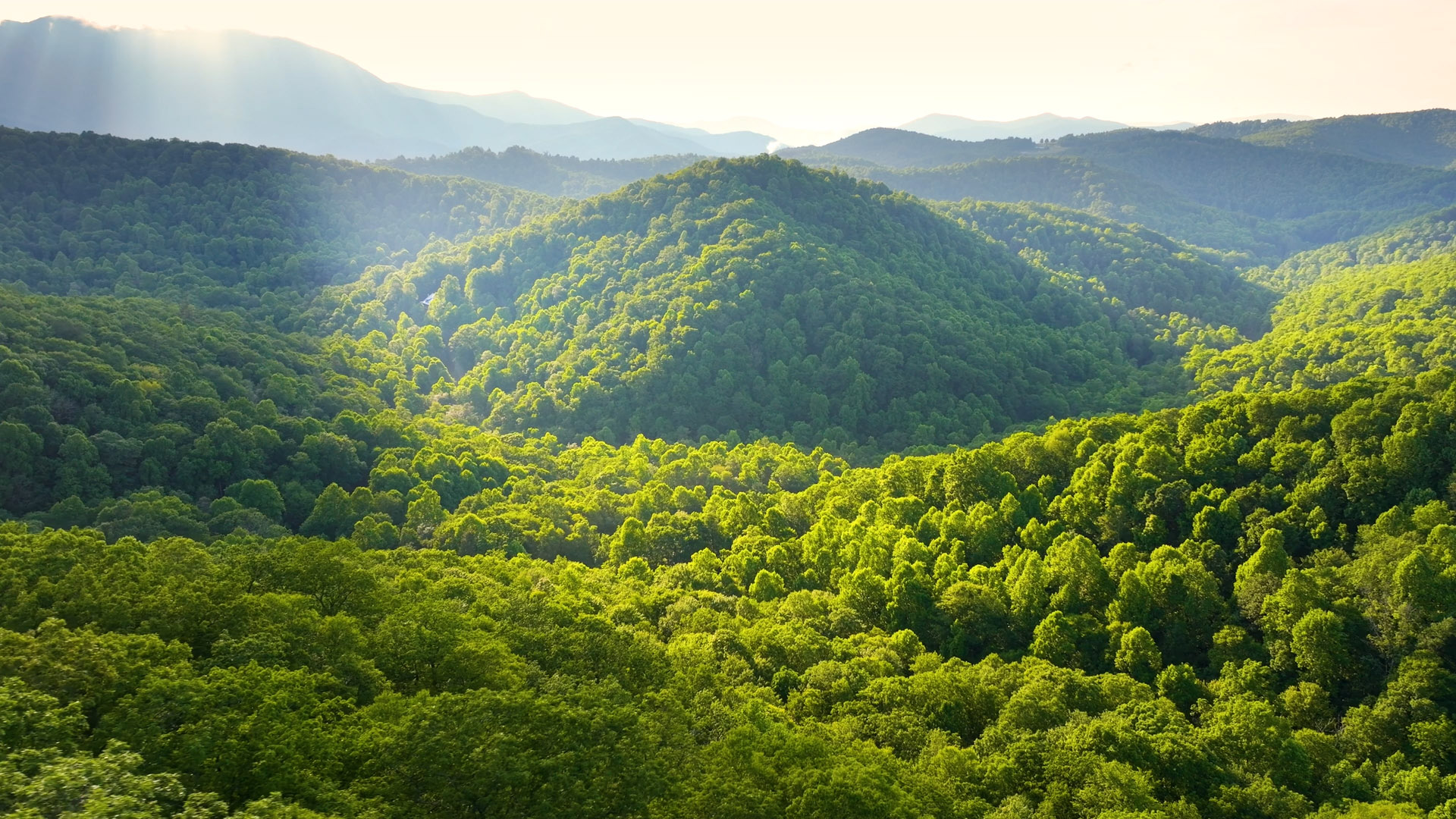 SMR Technologies in USA | GE Vernova Hitachi Nuclear Energy