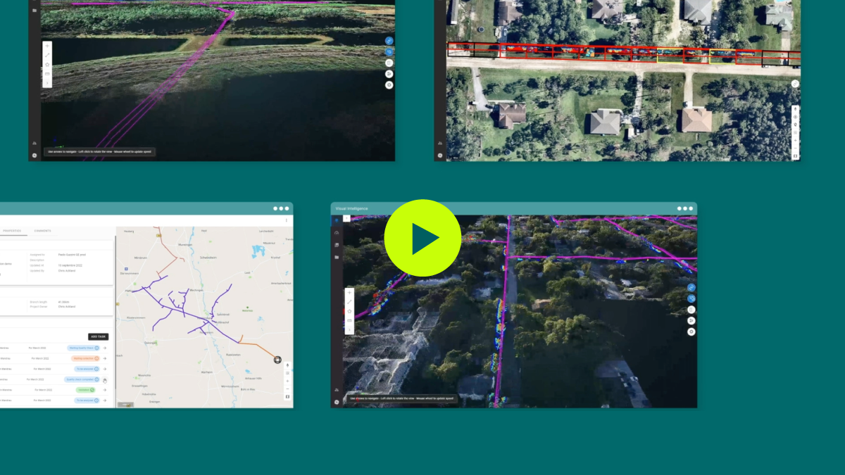 Improving Vegetation Management with GridOS® Visual Intelligence ...